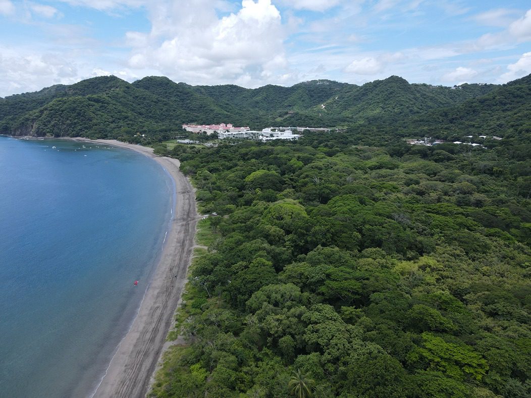 Beachfront Serenity Retreat Lot | Playa Matapalo